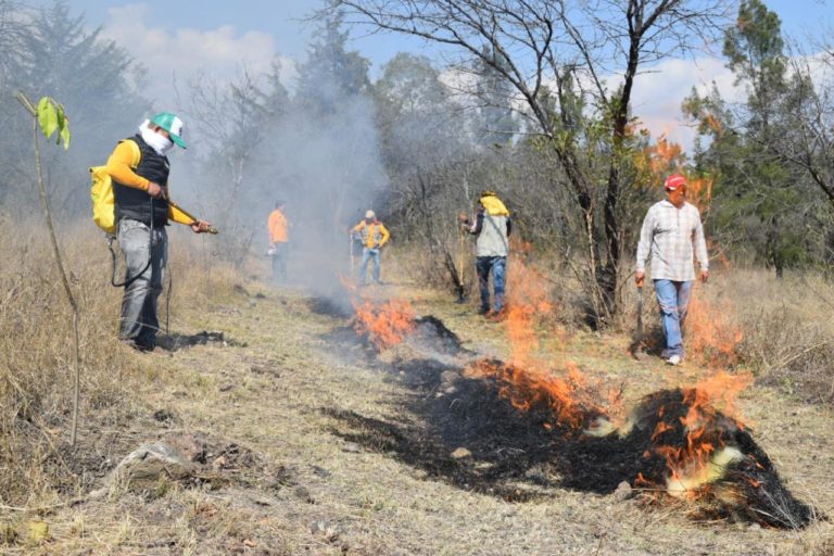 Intensifican jornadas de prevención de incendios forestales: Cofom – Universo Informativo de ...